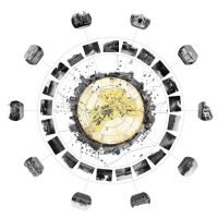 Physical Characteristics of the Arrival City – Studio: Arrival City